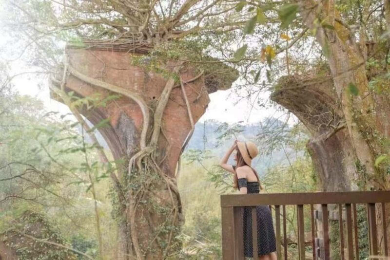 Departing from Taipei or Taichung: Deep travel in Miaoli - Key Points