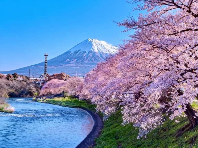 Departure from Tokyo: Mount Fuji  A Day of Encounters - Practical Tips for Travelers