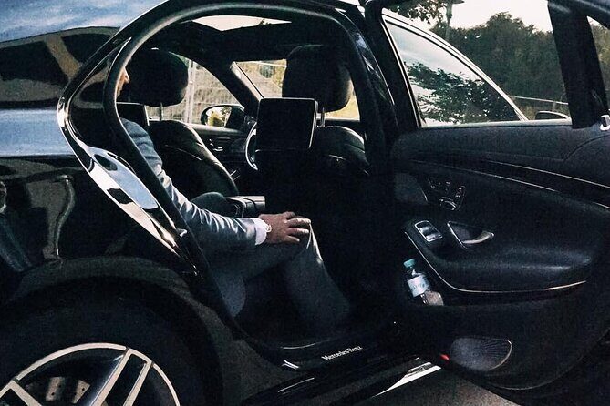 Departure Private Transfer: San Diego to San Diego Airport SAN in Business Car - Who Should Consider This Service?