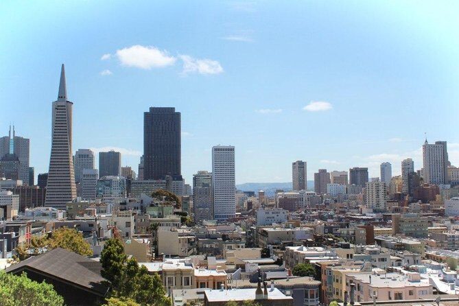 Departure Private Transfer: San Francisco to Airport SFO in Business Car - Recognizing the Practicalities