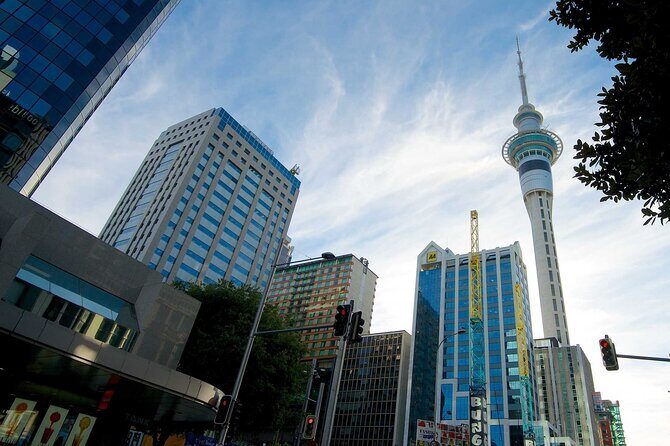 Departure Transfer: Auckland to Airport AKL by Luxury Van - Who Is This Service Best For?