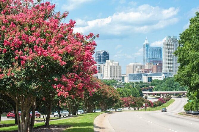 Departure Transfer: Charlotte to Charlotte Douglas Airport CLT in Business Car - Final Thoughts: Is It Worth It?