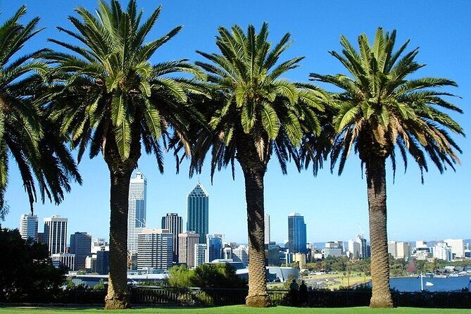 Departure Transfer: Perth to Perth Airport PER by Business Car - Practical Tips for Travelers