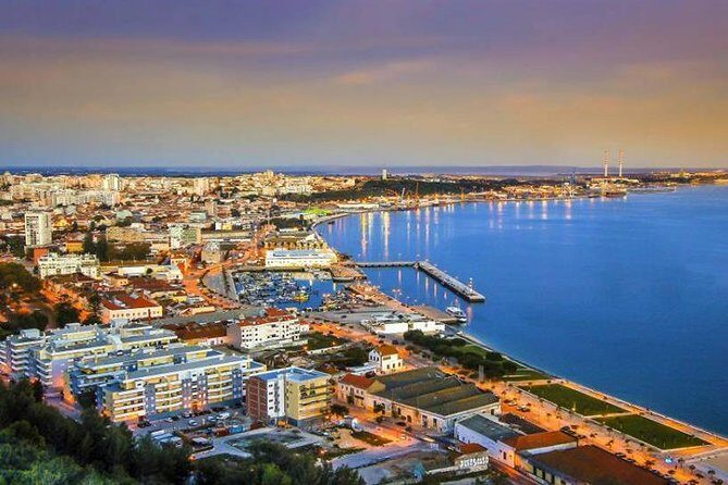 Descubra os Vinhos e a Gastronomia de Setúbal: Partindo de Lisboa - Uma Experiência Culinária em Uma Vinícola Histórica