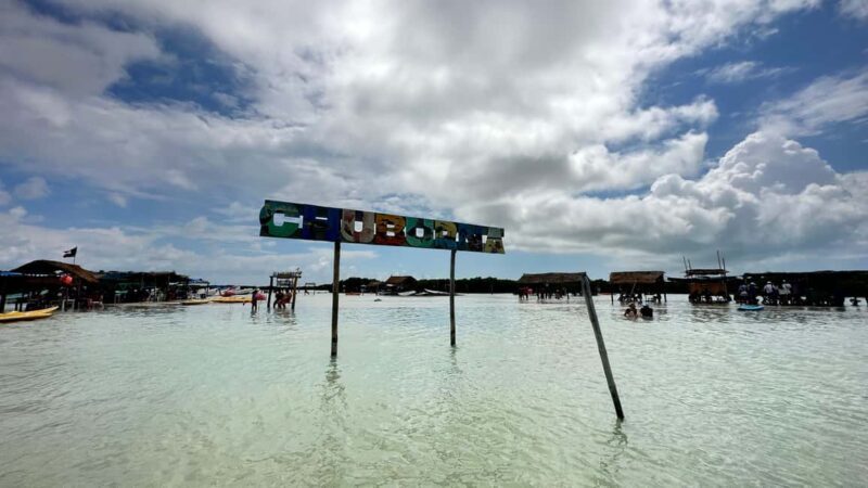 Desde Merida: Isla columpios - Who Will Love This Experience?
