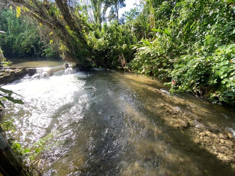 Desde Palenque: Rafting, Caminata en Selva Y Bonampak - The Ancient Wonders of Bonampak