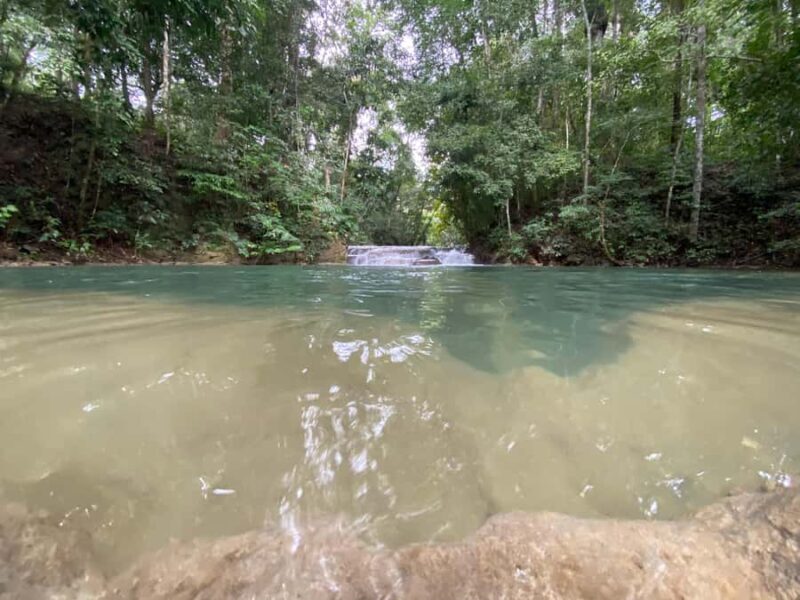 Desde Palenque: Rafting, Caminata en Selva Y Bonampak - Return and Reflection