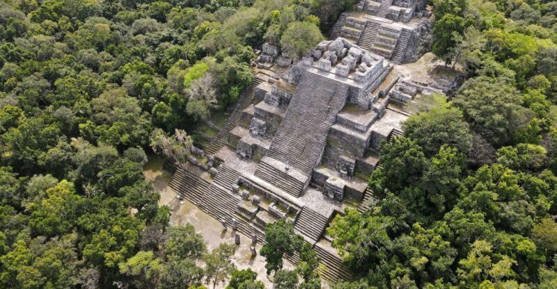 Desde Palenque: Zona Arqueológica Calakmul - An In-Depth Look at the Tour Experience