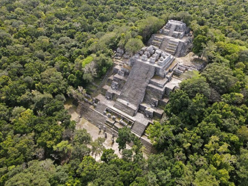 Desde Palenque: Zona Arqueológica Calakmul - Practical Tips for Travelers