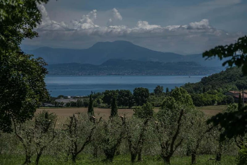 Desenzano d/G: guided bike day trip + selected wines, cooking class - Discovering Lombardy: A Guided Bike Tour with Wines and Cooking