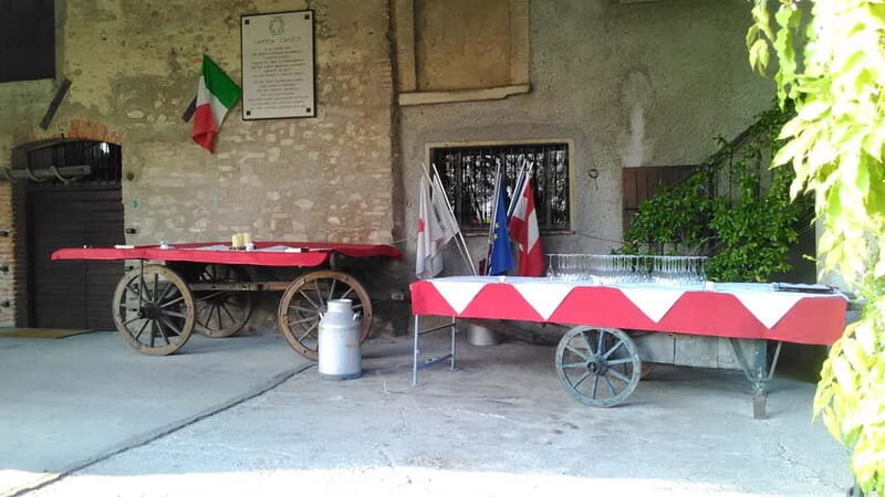 Desenzano d/G: guided bike day trip + selected wines, cooking class - Final Thoughts