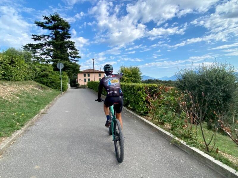 Desenzano: e-Bike Tour with Wine Tasting - Desenzano: E-Bike Tour with Wine Tasting — A Genuine Look