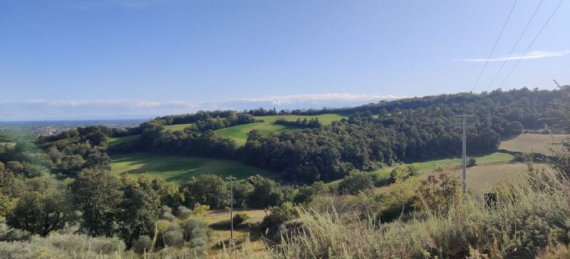 Desenzano: e-Bike Tour with Wine Tasting - The Vineyard Visit and Wine Tasting Experience