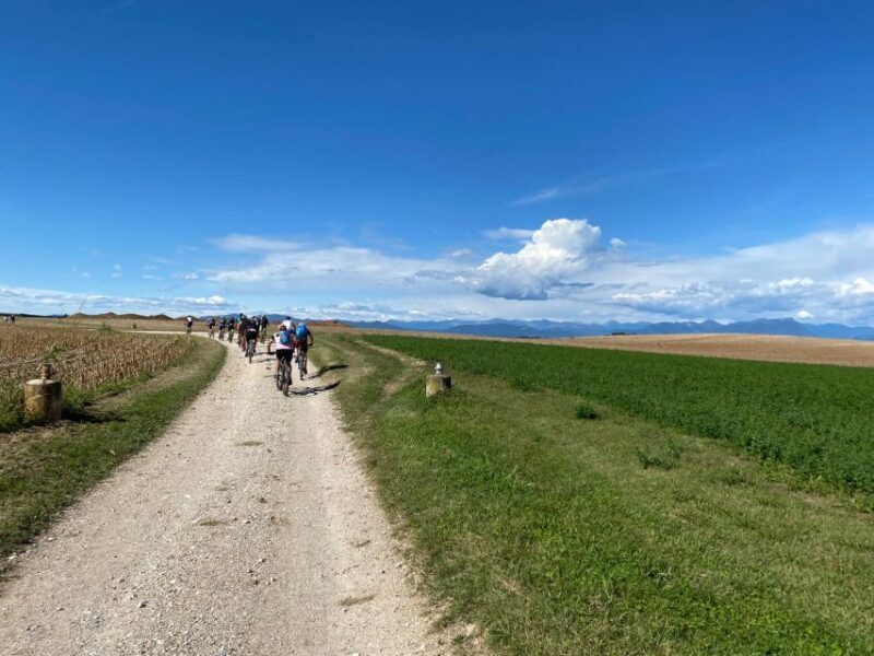 Desenzano: e-Bike Tour with Wine Tasting - What to Expect from the Itinerary