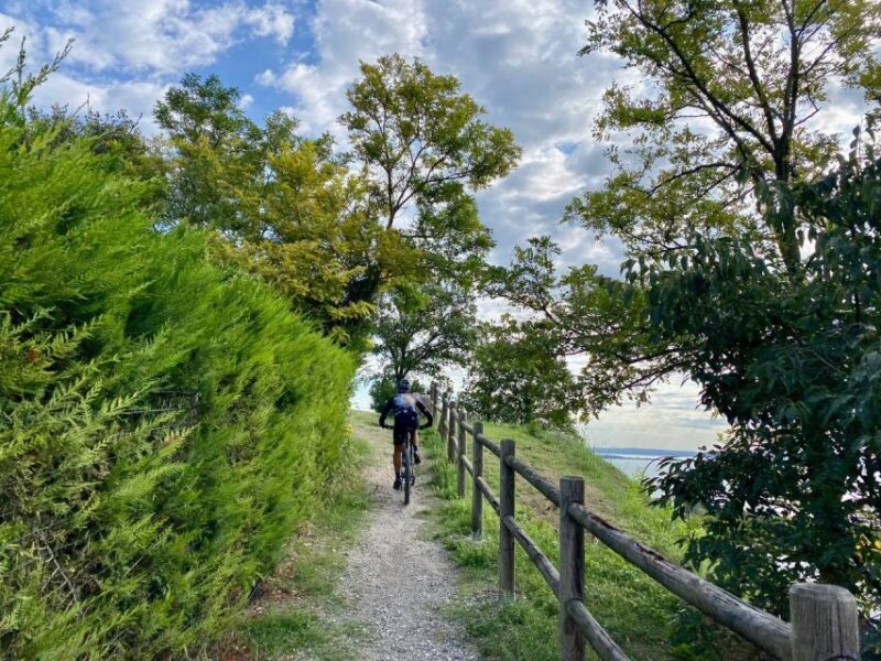 Desenzano: e-Bike Tour with Wine Tasting - Who Should Consider This Tour?