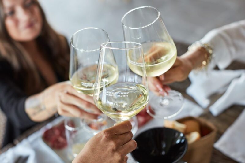 Desenzano: Lugana Wine-Tasting and Vineyard Tour - Key Points