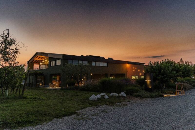 Desenzano: Lugana Wine-Tasting and Vineyard Tour - Tasting and Food Pairing