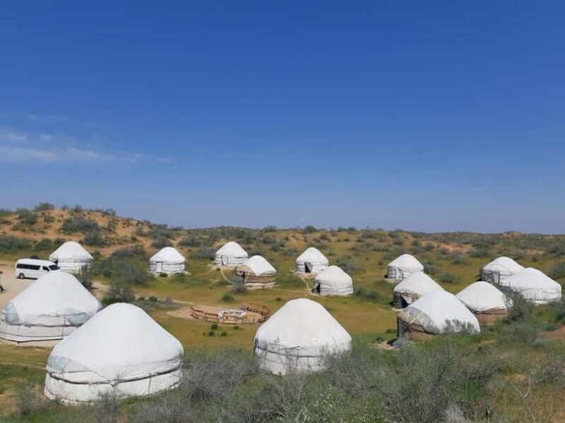 Desert Adventure from Samarkand: Yurt Camp & Aydarkul Escape - Key Points