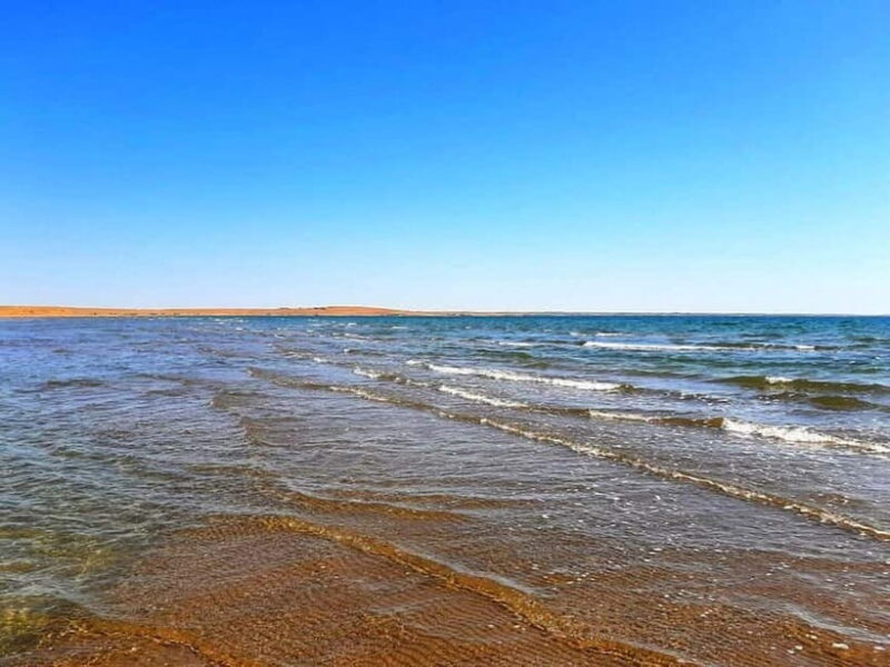 Desert Adventure from Samarkand: Yurt Camp & Aydarkul Escape - An Introduction to the Yurt Camp & Aydarkul Desert Tour