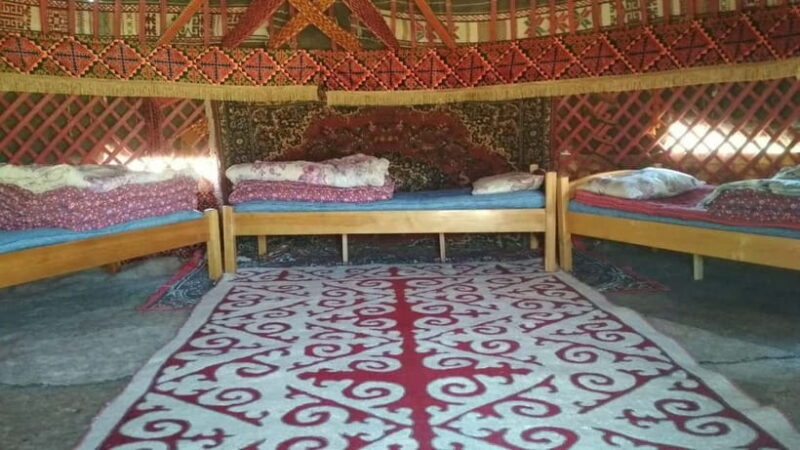 Desert Adventure from Samarkand: Yurt Camp & Aydarkul Escape - What Makes This Tour a Good Value?