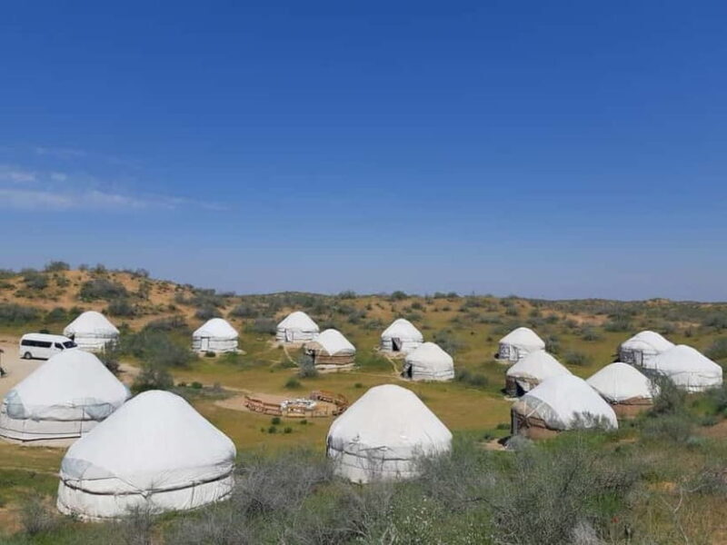 Desert Adventure from Samarkand: Yurt Camp & Aydarkul Escape - Practical Tips for Your Desert Adventure