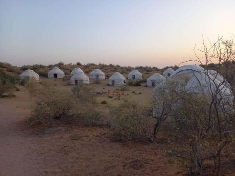 Desert Adventure from Samarkand: Yurt Camp & Aydarkul Escape - The Experience Through the Eyes of Travelers