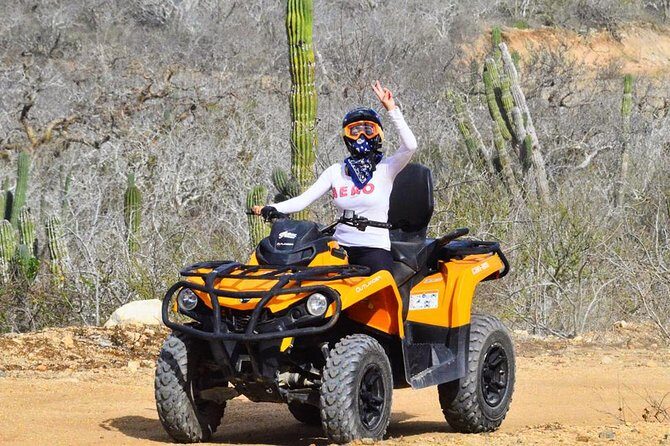 Desert and Beach ATV Tour in Los Cabos - Who Should Consider This Tour?