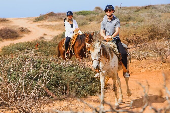 Desert and Beach Horseback Riding Experience in Cabo - What to Expect from Your Horseback Riding Adventure in Cabo