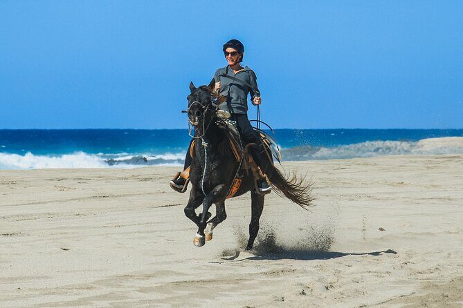 Desert and Beach Horseback Riding Experience in Cabo - Final Thoughts