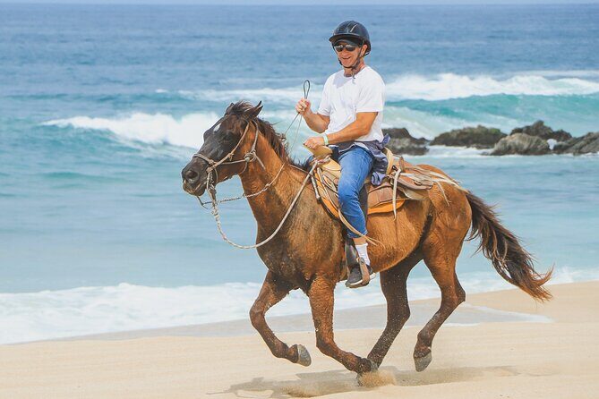 Desert and Beach Horseback Riding Experience in Cabo - FAQ: Your Questions Answered
