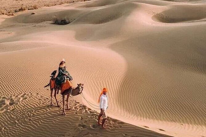 Desert Camel & Jeep Safari Private Tour From Jodhpur - Discover the Magic of the Thar Desert on a Private Camel & Jeep Safari From Jodhpur
