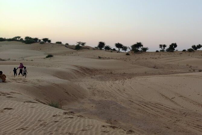 Desert Camel & Jeep Safari Private Tour From Jodhpur - What Travelers Say: Authentic Perspectives