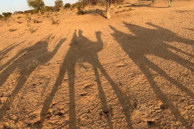 Desert Camel Safari Day Tour In Jodhpur - The First Stop: Sachiya Mata Temple