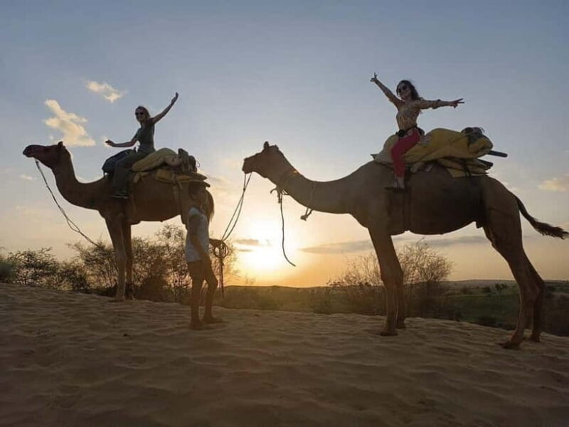 Desert Camel Safari Day Tour In Jodhpur - Key Points