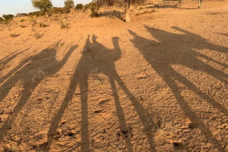 Desert Camel Safari Day Tour In Jodhpur - The Value of This Tour