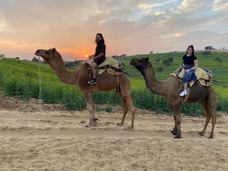 Desert Camel Safari Day Trip From Jodhpur - The Experience: Value and Authenticity