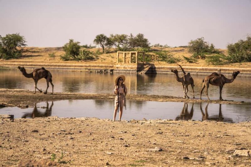 Desert Cultural Evening (No Camel) : Kalbelia & Sufi Fusion - Key Points