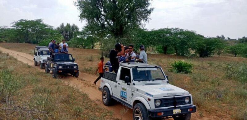 Desert Jeep Safari & Camel Safari Tour From Jodhpur - Detailed Review of the Desert Safari Experience