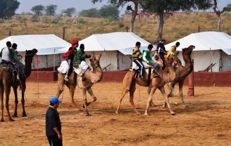 Desert Jeep Safari Tour From Jodhpur - An Authentic Taste of Rajasthan’s Desert Landscape