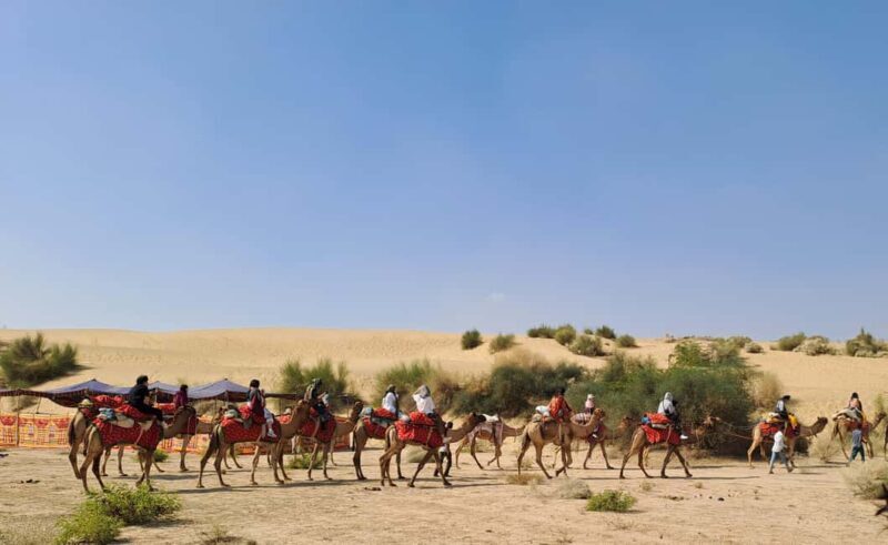 Desert Rose Jaisalmer: Luxury Tent In Thar Desert - Who This Tour Is Perfect For