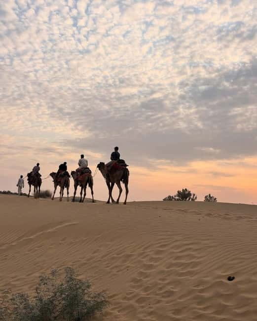 Desert Rose Jaisalmer: Overnight Stay Middle of Thar Desert - Introduction