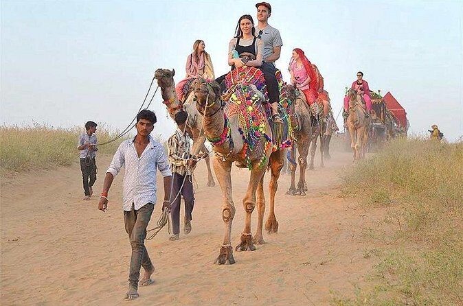 Desert Safari [ Camel+Jeep ] AmazingJaisalmer - FAQ About This Desert Safari Tour