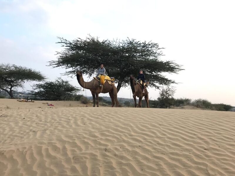 Desert Safari In Jodhpur - Final Thoughts: Is It Worth It?