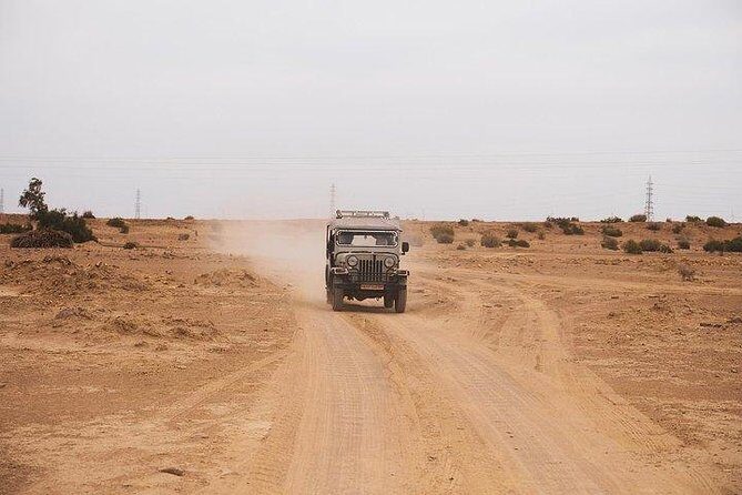 Desert Safari Tour Package - Final Thoughts: Is It Worth It?