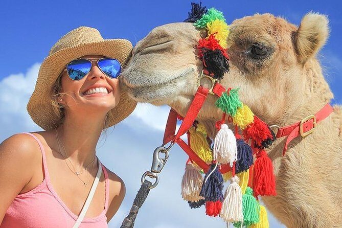 Desert & sea, Camel Safari tour in Los Cabos with lunch - Practical Details and What to Expect