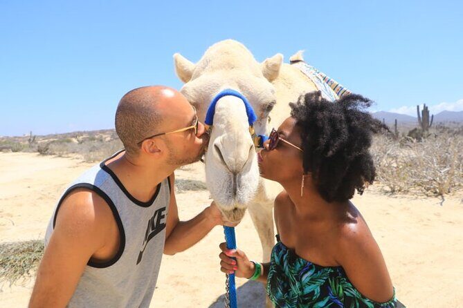 Desert & sea, Camel Safari tour in Los Cabos with lunch - What Do the Reviews Say?