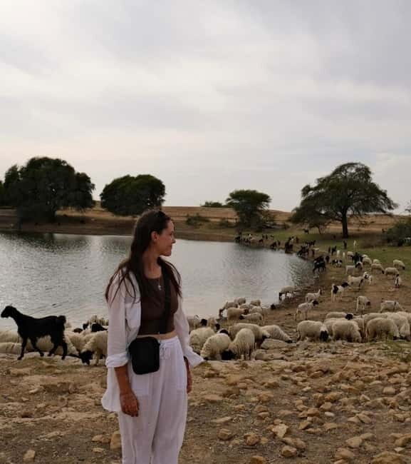Desert Tour Jaisalmer - Practical Tips for Traveler Success