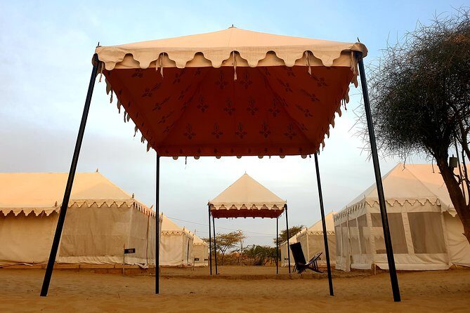 Desert Tour with Camel Safari, jeep safari - accommodation in luxury Swiss tent - Exploring the Desert: A Review of the Jaisalmer Desert Tour with Camel and Jeep Safaris