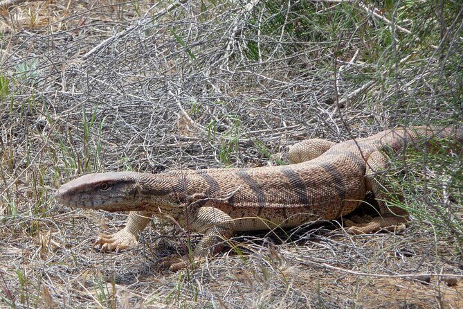 Desert Yurt Camp tour - 2 days (shared) - A Closer Look at the Tour Details