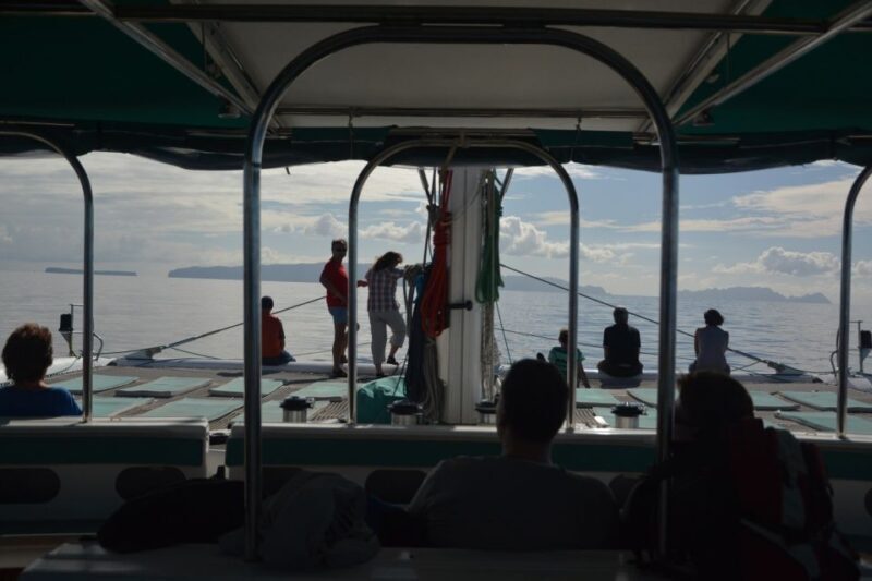 Desertas Islands Full-Day Catamaran Trip from Funchal - An In-Depth Look at the Experience